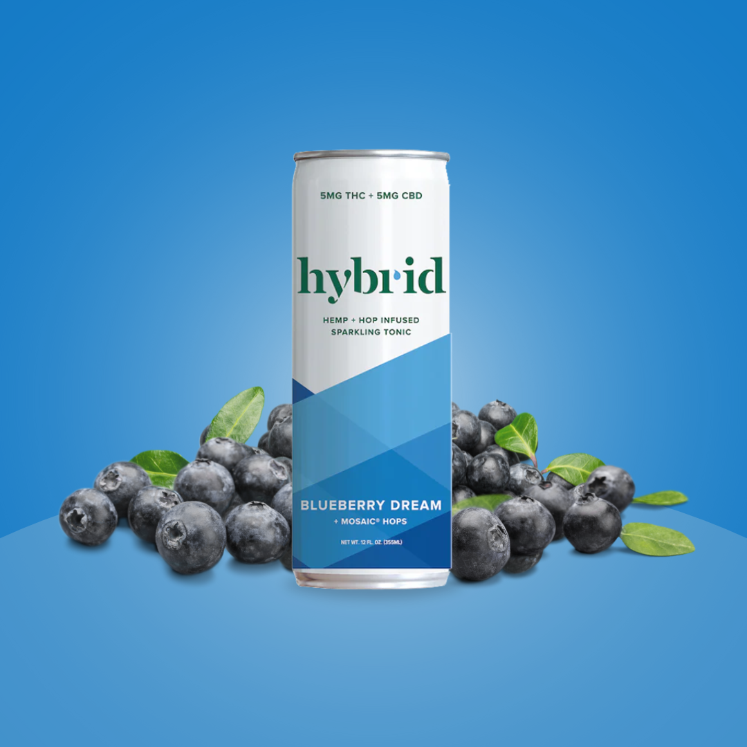 Blueberry Dream – hybrid tonic